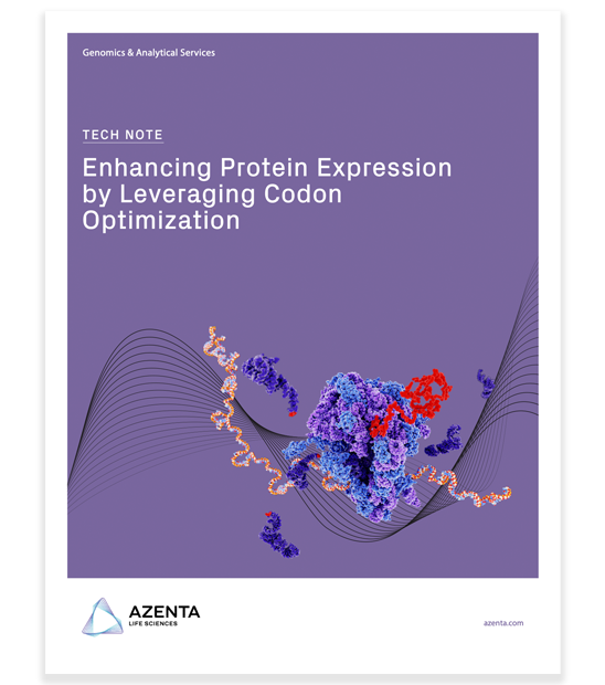 Codon Optimization Tech Note | GENEWIZ from Azenta Life Sciences